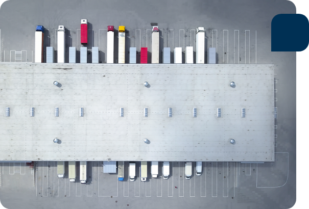 Optimise your LSP operations.